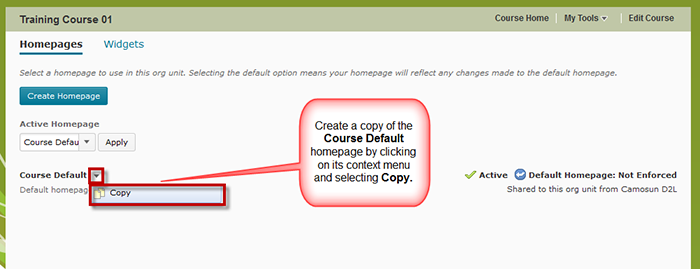 D2L Tool Tip of the Week: Customizing your Homepages and Widgets ...