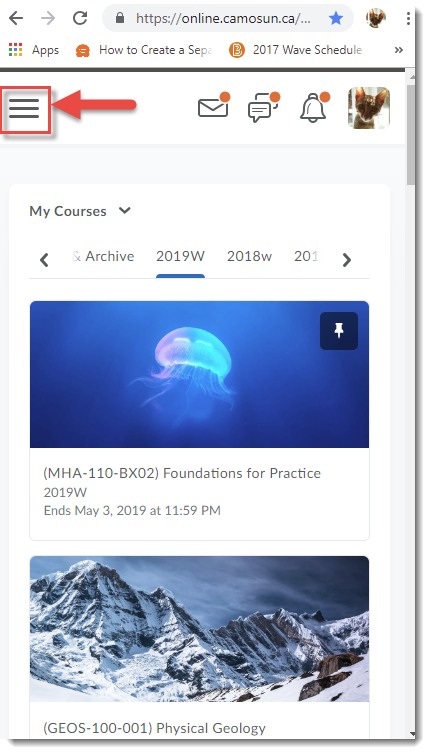 D2L Design Considerations for Mobile Devices – Centre for Excellence in ...