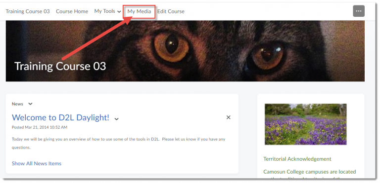 Kaltura Tip: Adding YouTube Videos to My Media with Workaround for ...